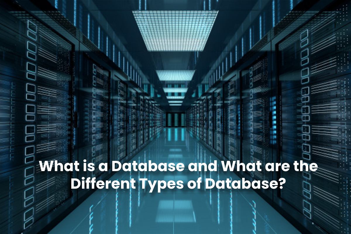 What is a Database and What are the Different Types of Database?